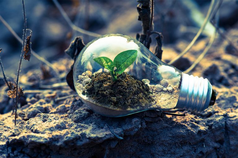 Statutory Accounts vs Management Accounts | Key Differences